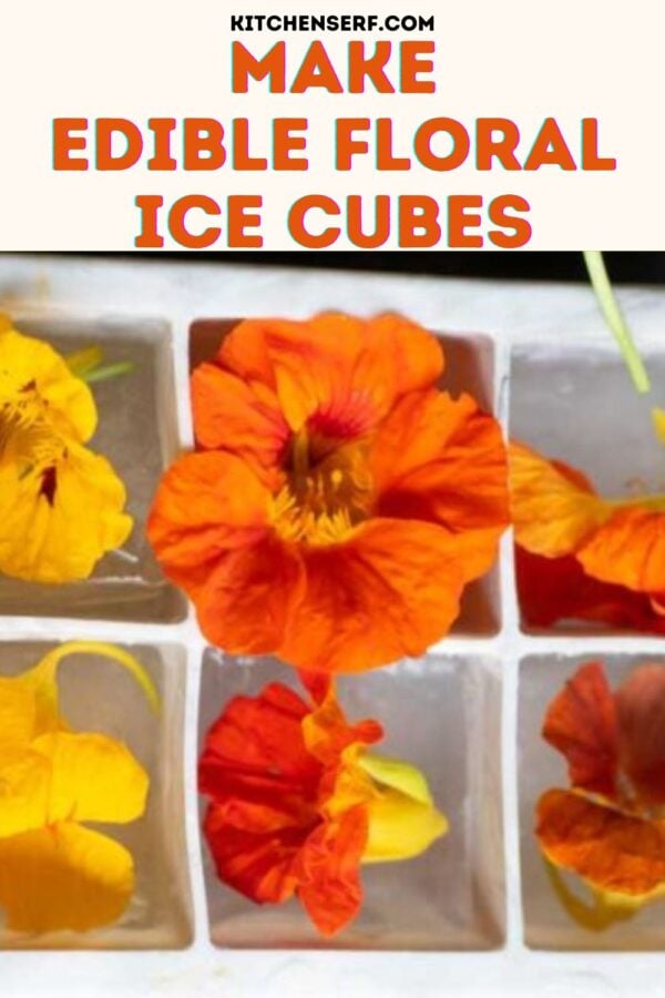 Edible Flower Ice Cubes for Cocktails & Summer Drinks