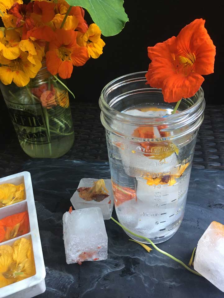 How Make Flower Ice Cubes ( Elevate Your Ice Water)