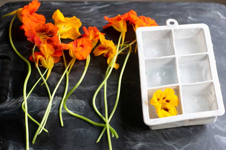 How Make Flower Ice Cubes ( Elevate Your Ice Water)